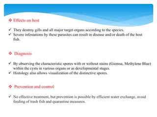 PARASITIC DISEASES OF FISHES.pptx