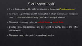 Pathology of parasitic diseases of poultry.pptx