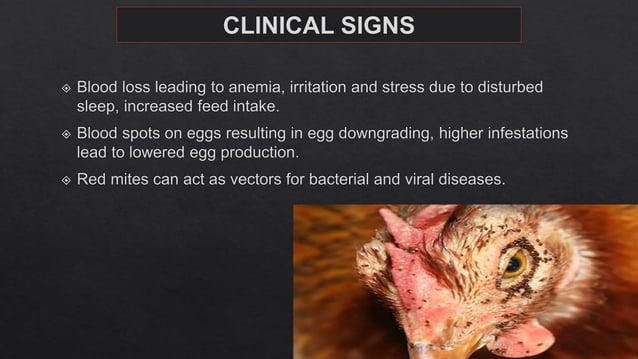 Pathology of parasitic diseases of poultry.pptx