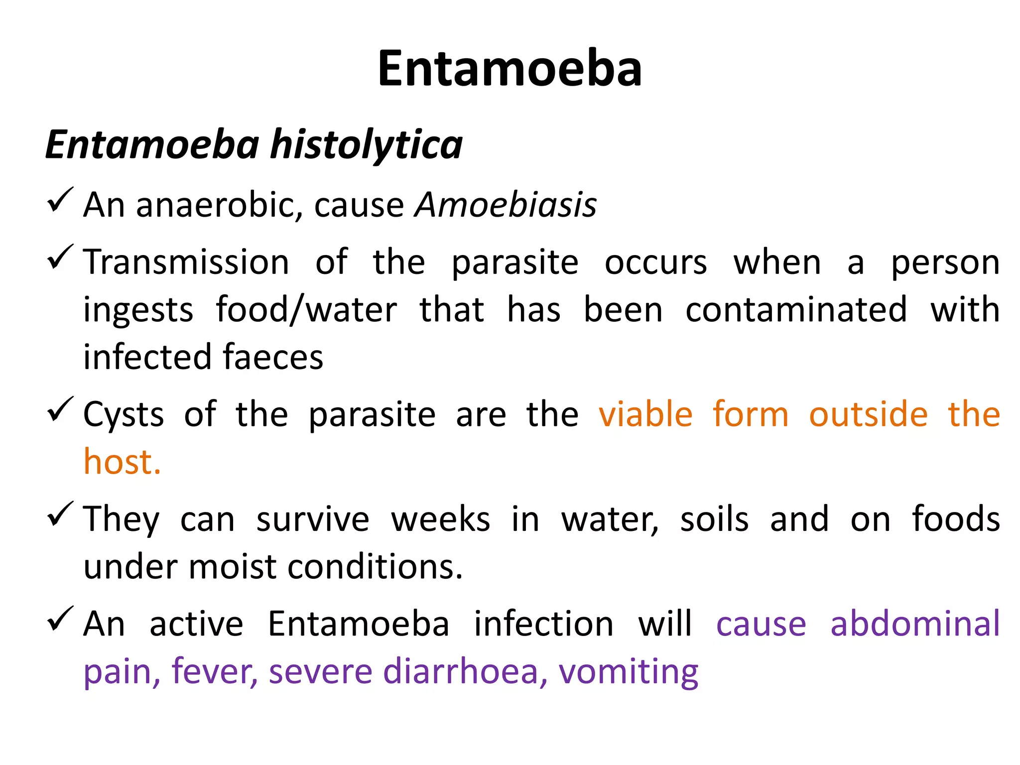 Parasitic-food borne diseases | PPTX