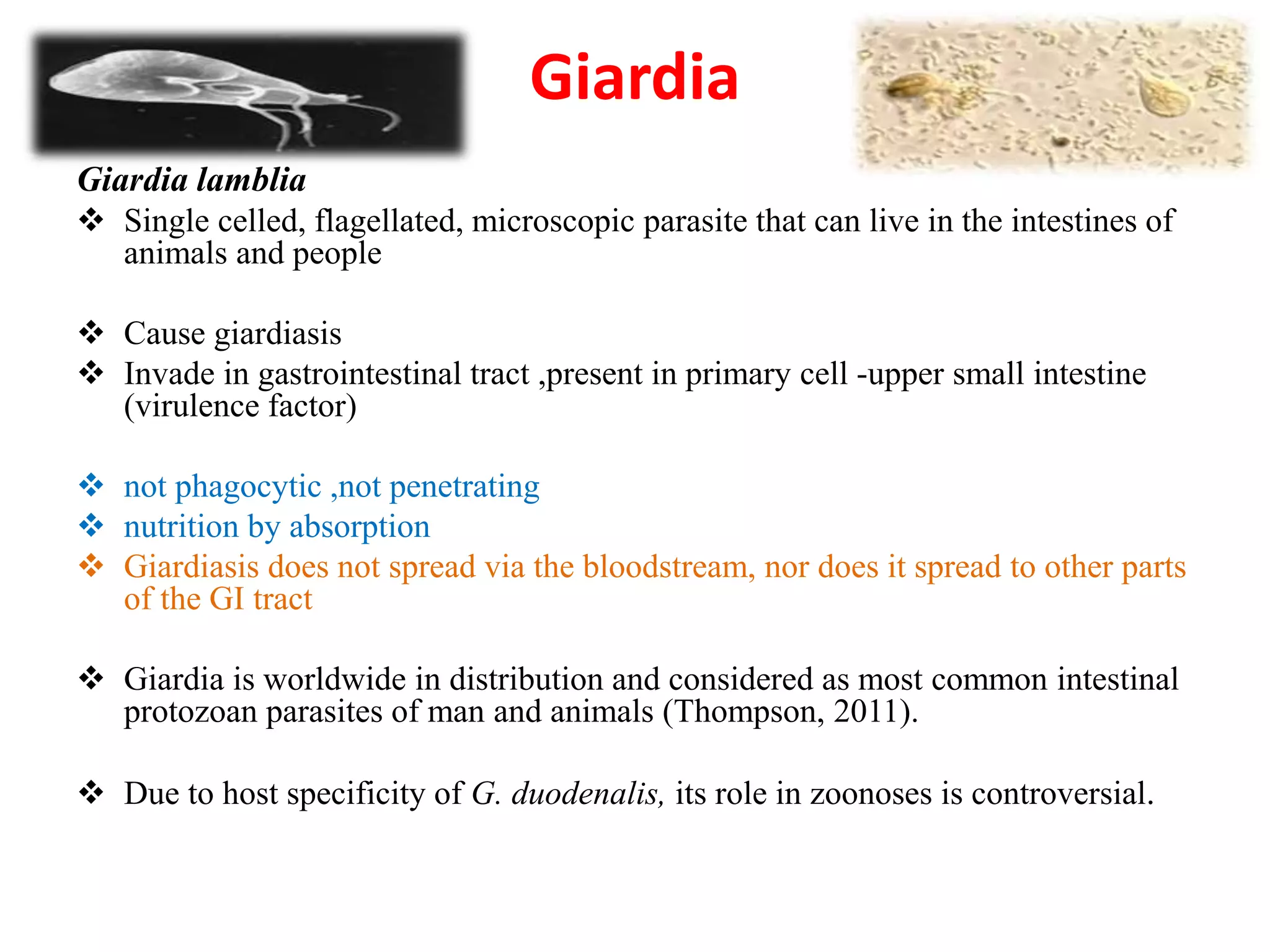 Parasitic-food borne diseases | PPTX