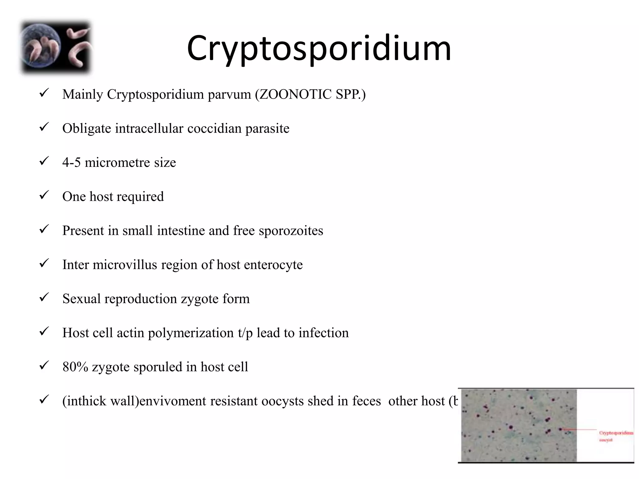 Parasitic-food borne diseases | PPTX