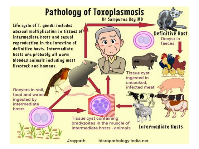 Parasitic-food borne diseases | PPTX