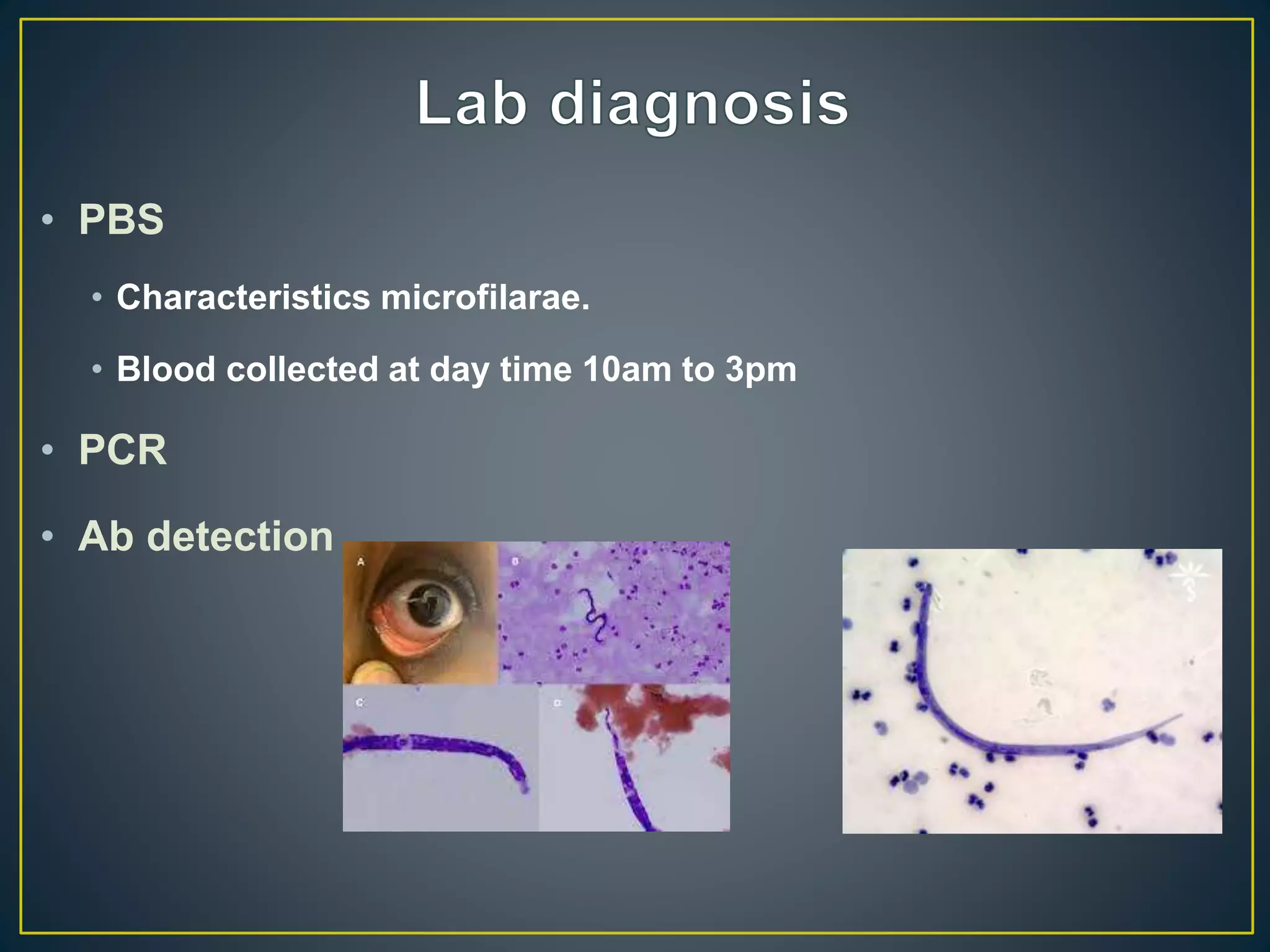 Parasitic infection of Skin, Soft tissue and Muskuloskeletal tissues.pptx