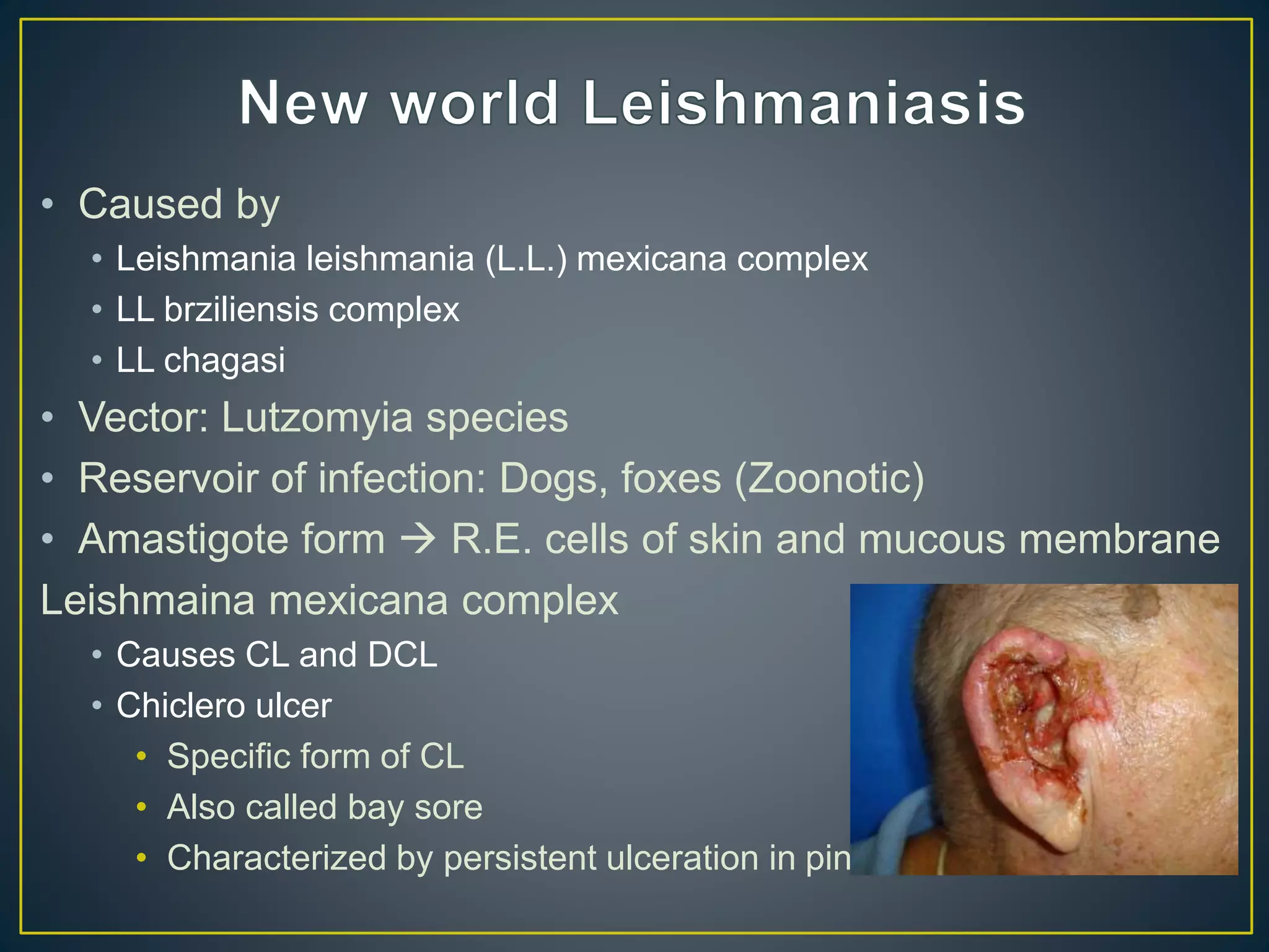 Parasitic infection of Skin, Soft tissue and Muskuloskeletal tissues.pptx