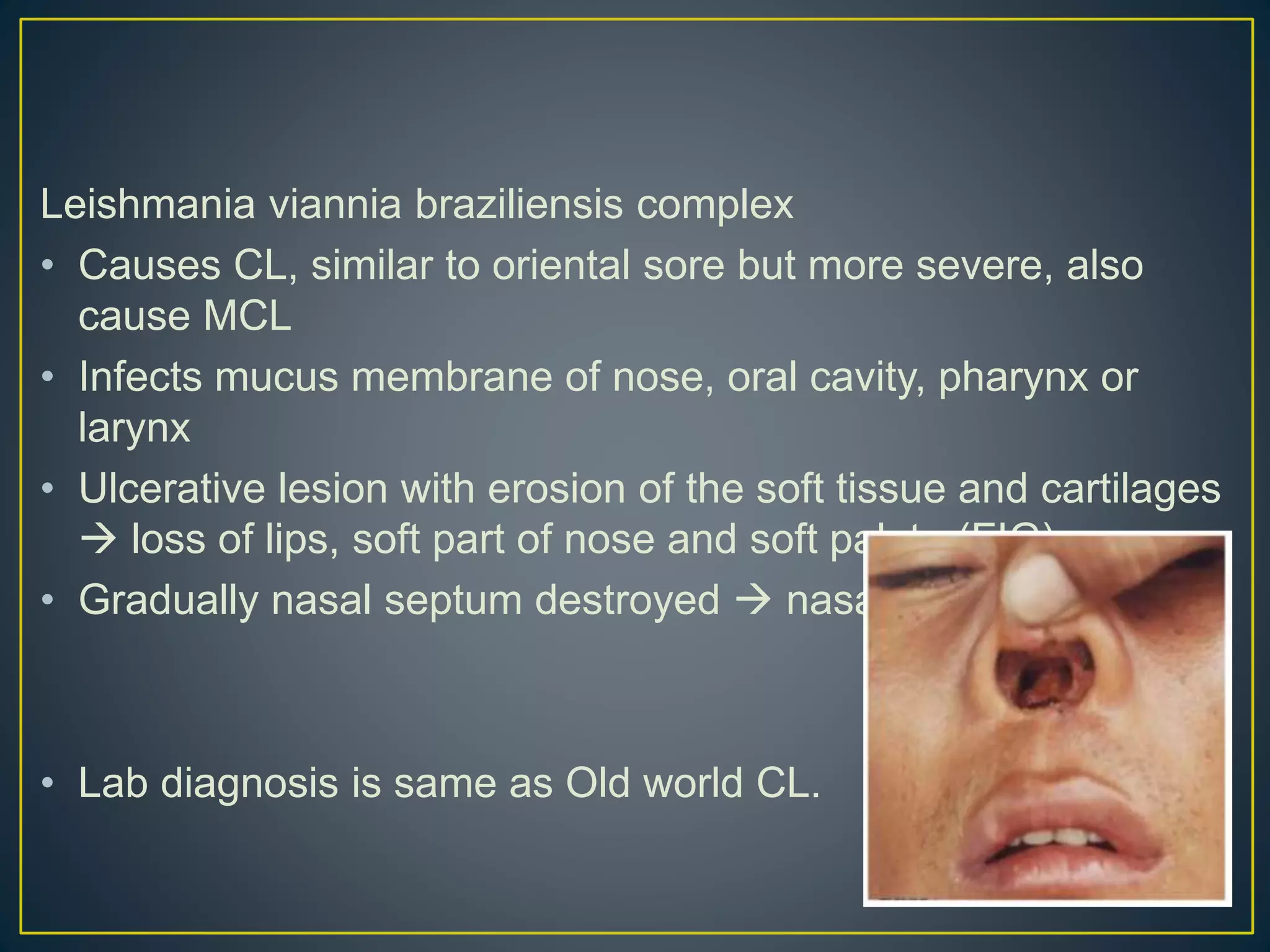 Parasitic infection of Skin, Soft tissue and Muskuloskeletal tissues.pptx