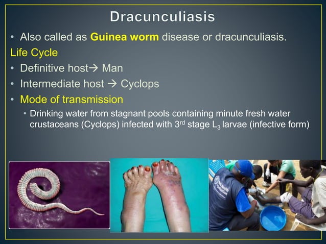 Parasitic infection of Skin, Soft tissue and Muskuloskeletal tissues ...