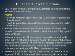 Parasitic infection of Skin, Soft tissue and Muskuloskeletal tissues.pptx