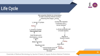 Parasitic infections | PPTX