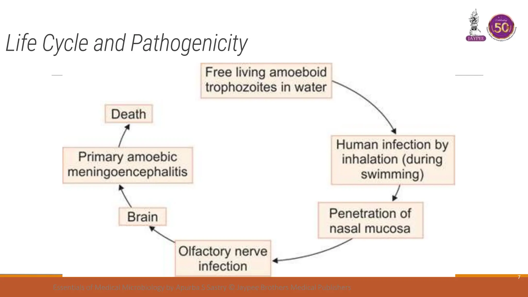 Parasitic Infections of CNS. Free living amoeba and ...
