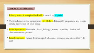Parasitic infections of CNS microbiology.pptx