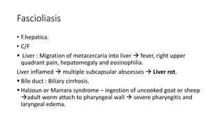 Parasitic infections of hepatobiliary system.pptx