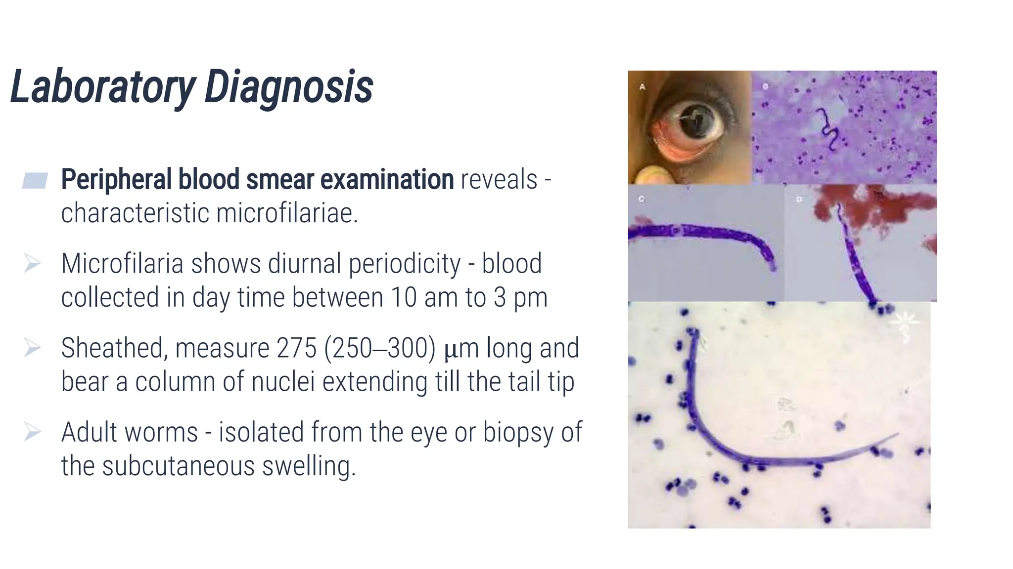 Parasitic Infections of Skin, Soft tissue and musculoskeletal system dr ...