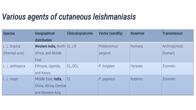 Parasitic Infections of Skin, Soft tissue and musculoskeletal system dr ...