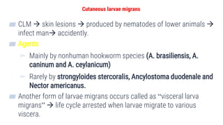Parasitic Infections of Skin, Soft tissue and musculoskeletal system dr ...