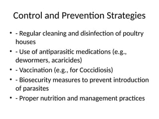 Parasitic Infections Poultry 111111111111 | PPTX