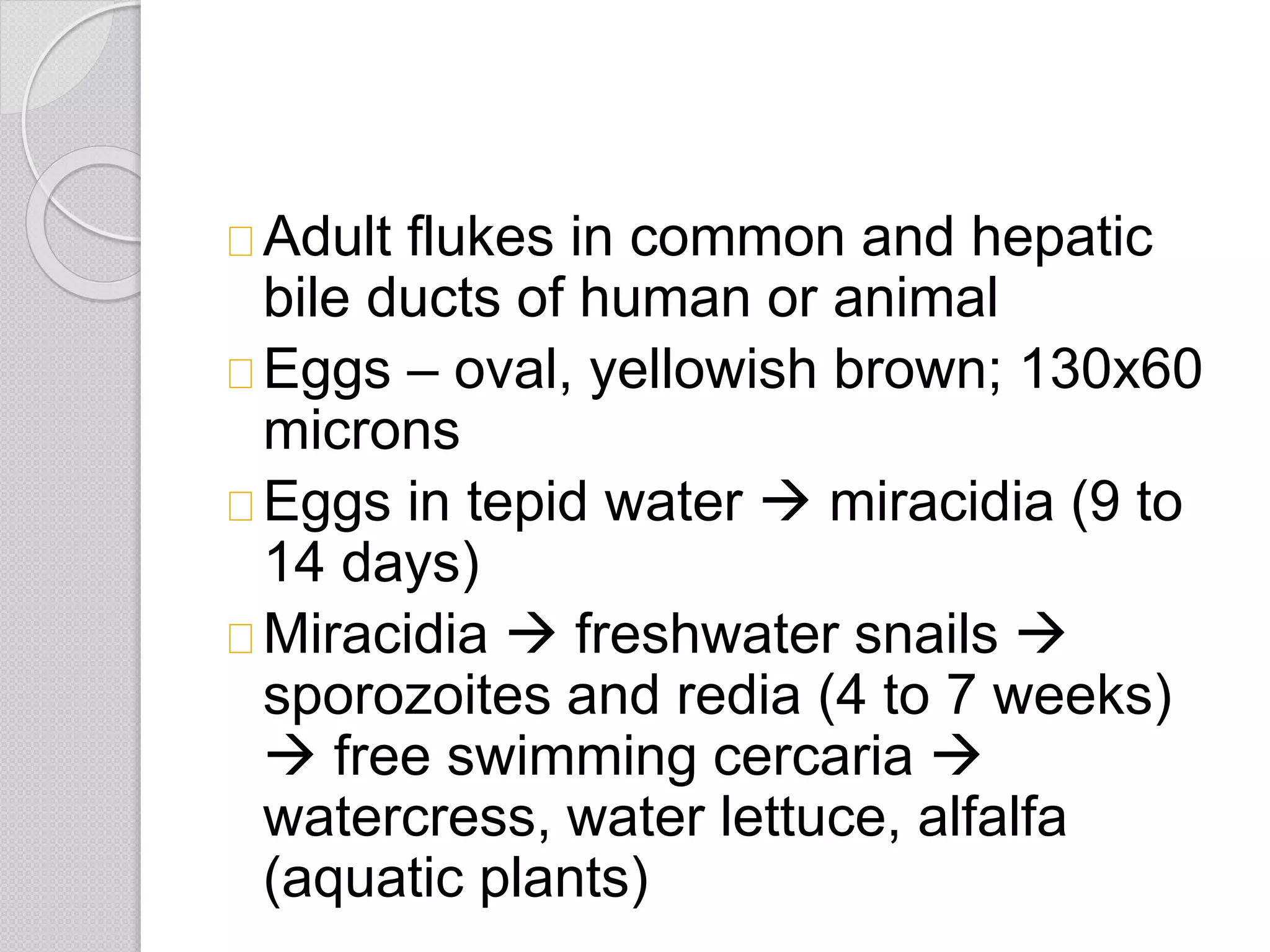 Parasitic infestations of the biliary tract | PPTX