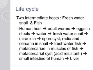 Parasitic infestations of the biliary tract | PPTX