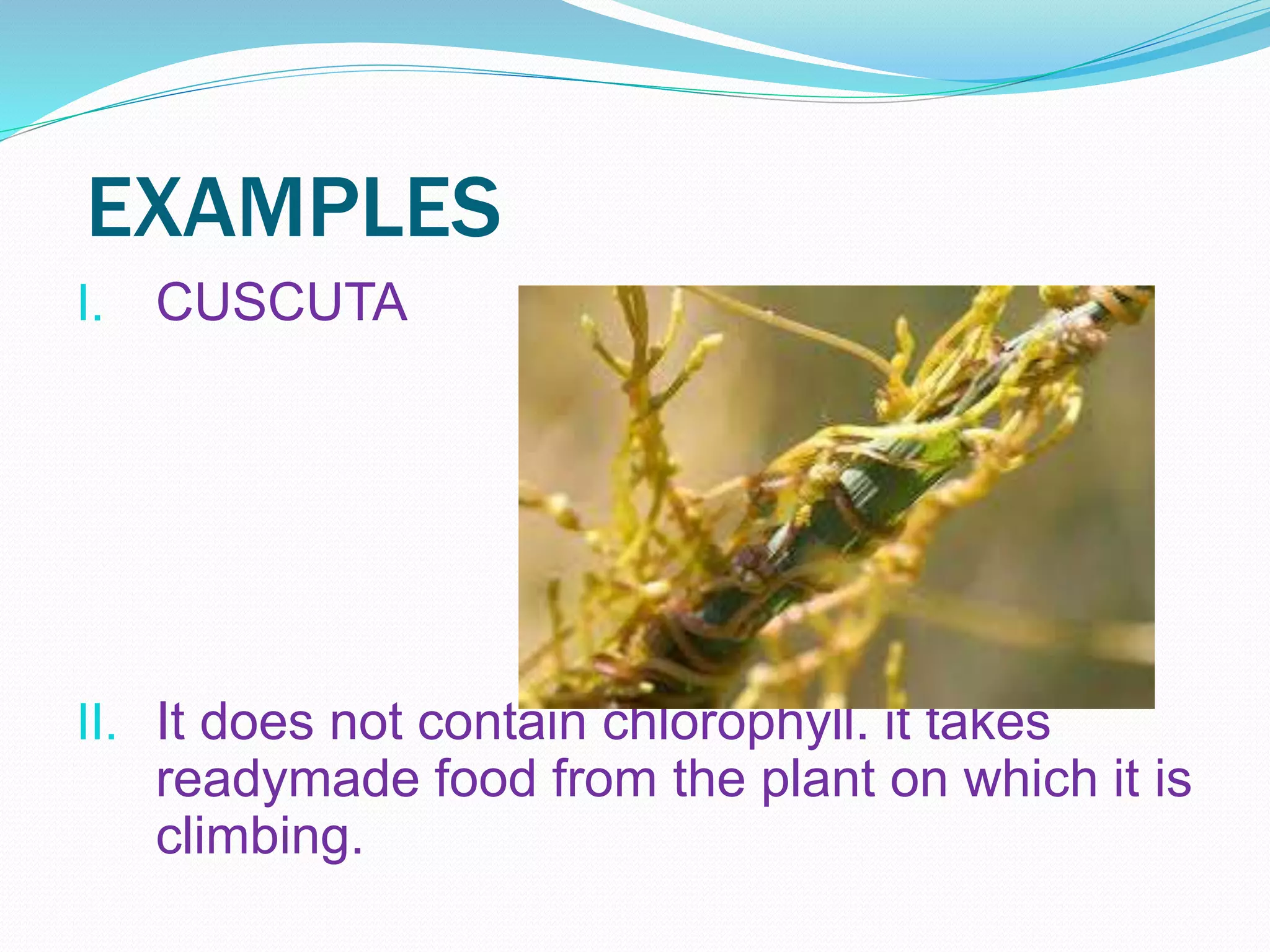 Parasitic nutrition.pptx oo.pptxom | PPTX