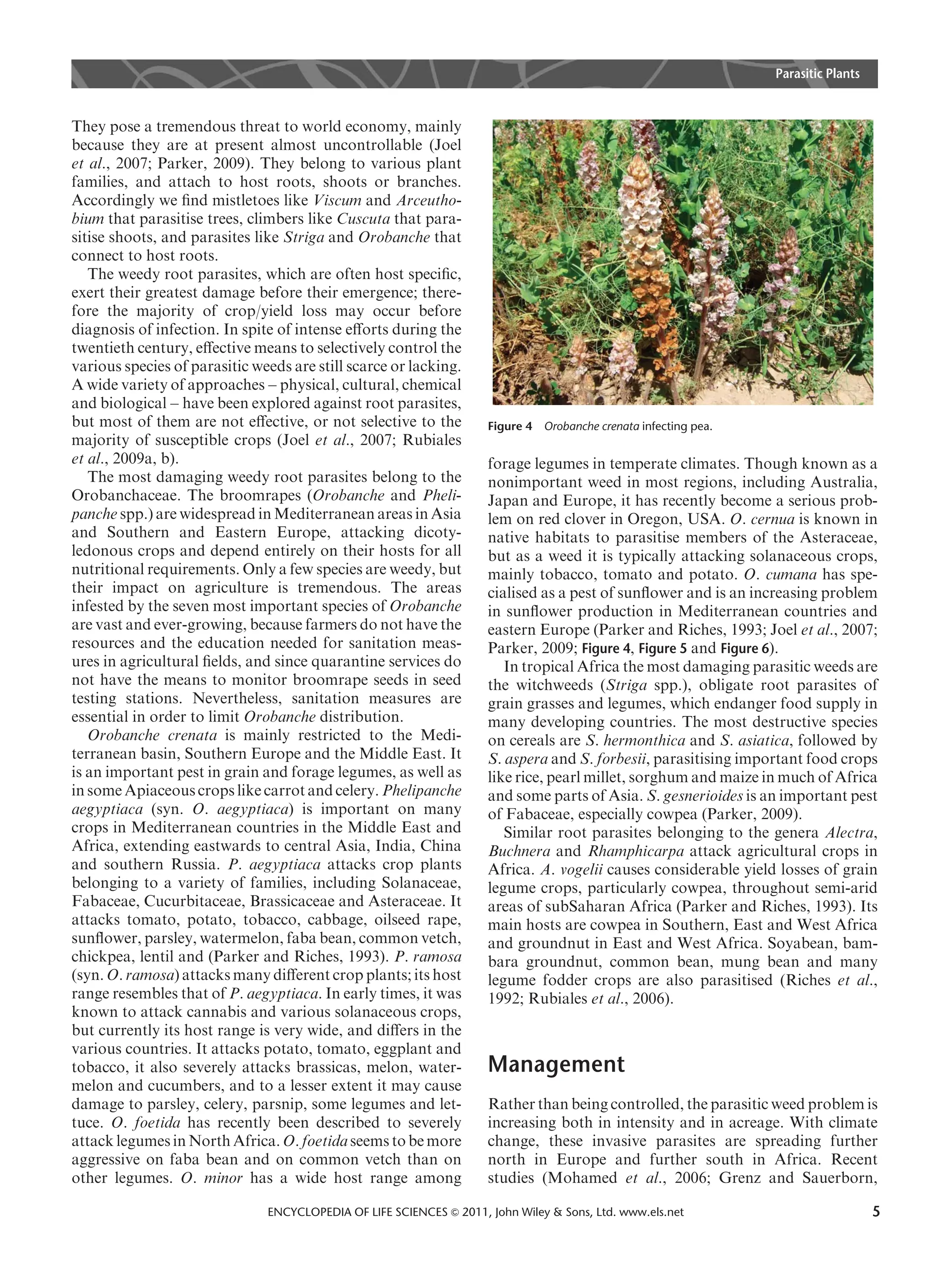 Parasitic hiegher _ Plants species .pdf