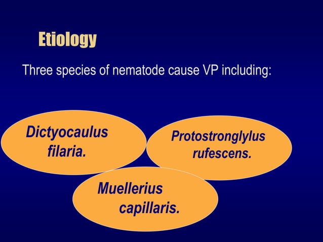 Verminous pneumonia by prof m ghanem | PDF | Infectious Diseases ...