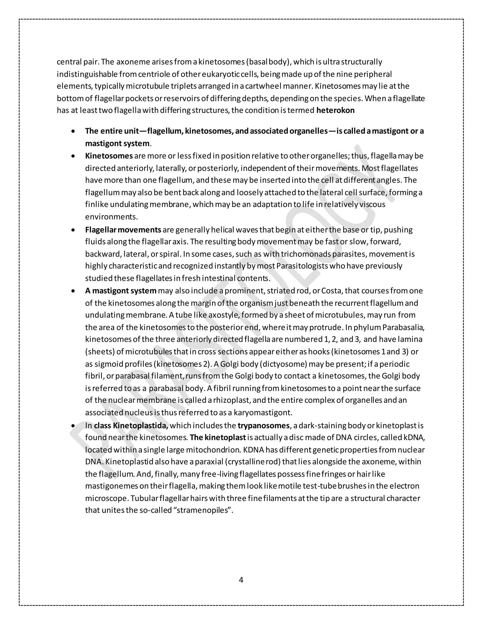 Parasitic protozoa | DOCX