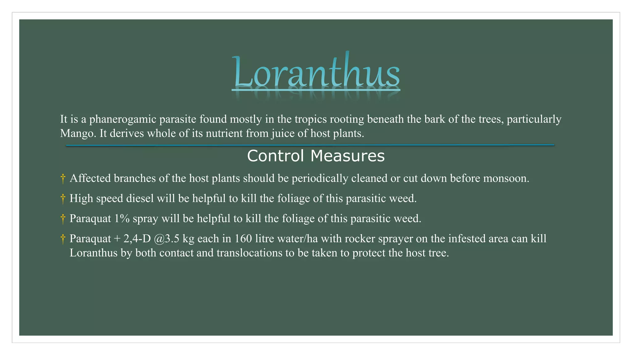 Parasitic weeds | PPTX