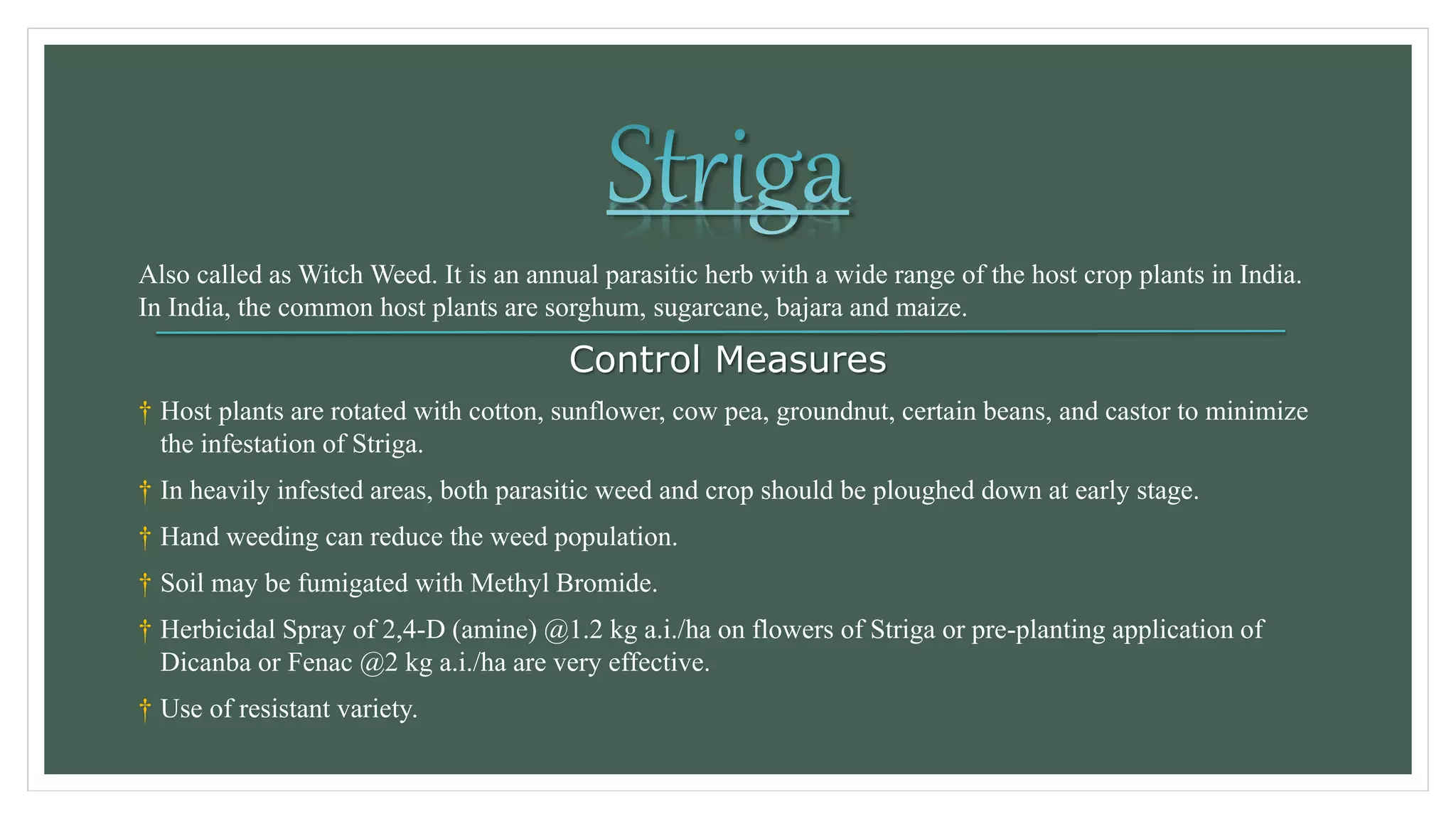 Parasitic weeds | PPTX