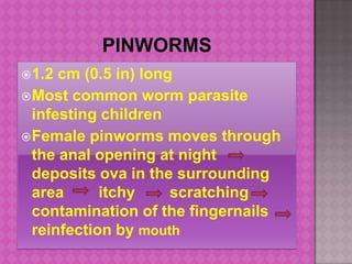 Parasitic worms or helminth senglish | PPTX