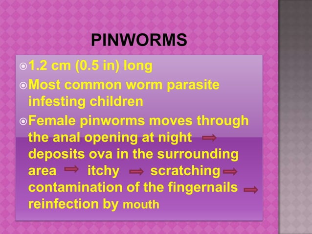 Parasitic worms or helminth senglish | PPT