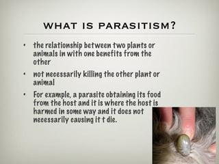 11biolParasitism | PPT