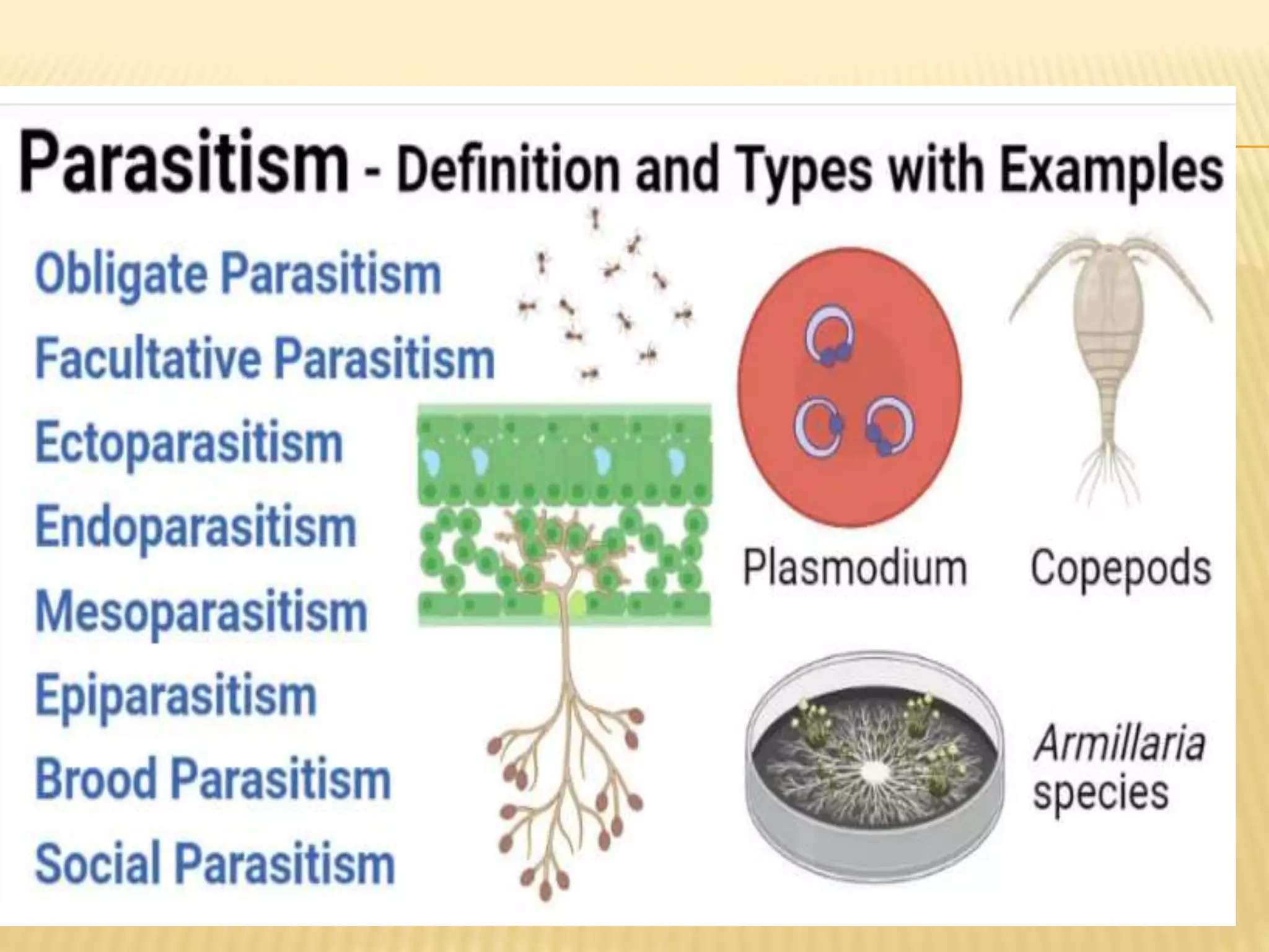 Parasitism | PPTX