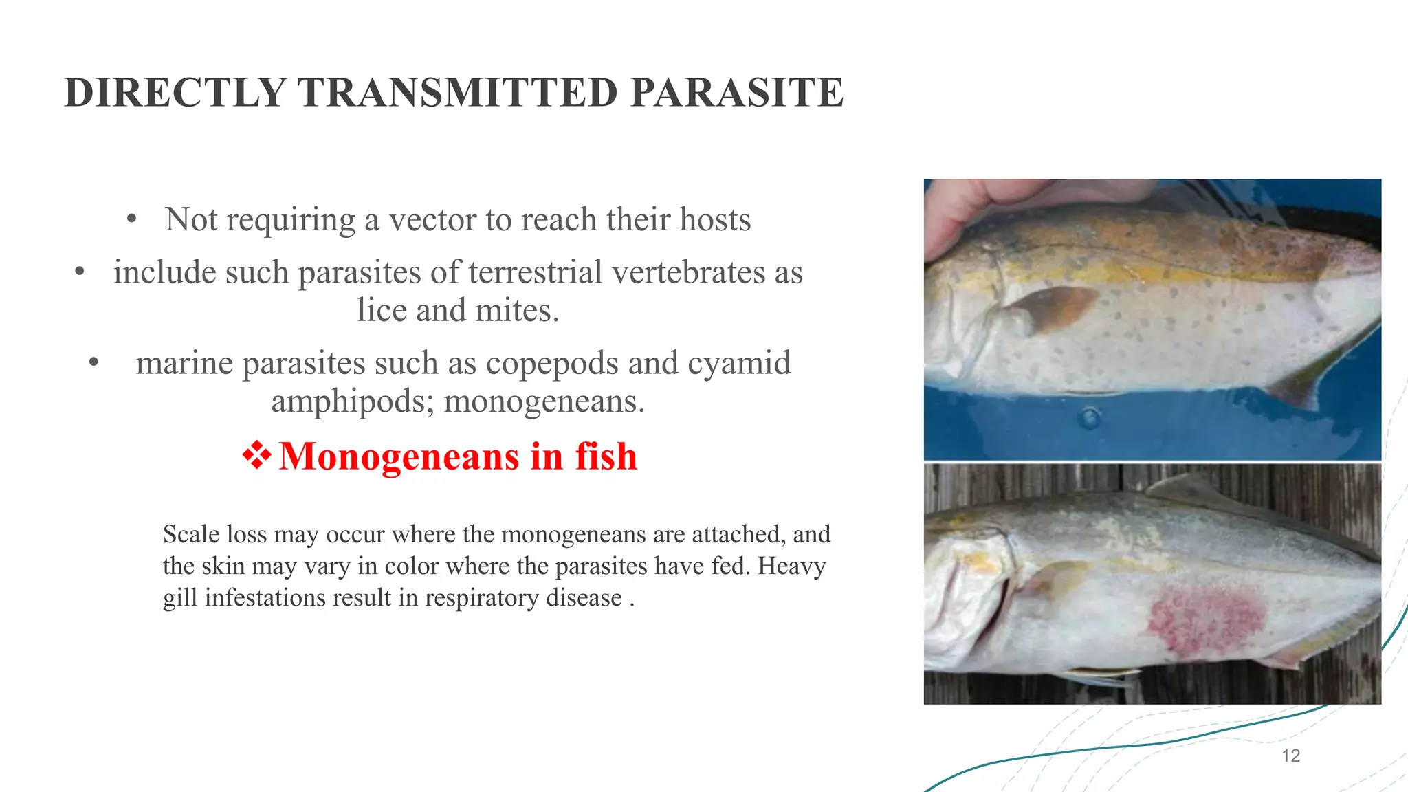 parasitism.pptx