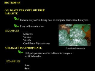 Parasitism and its types | PPTX