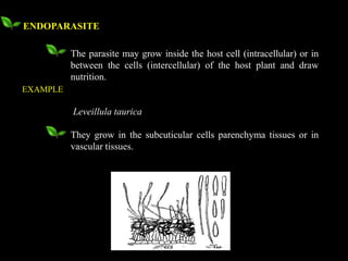 Parasitism and its types | PPTX