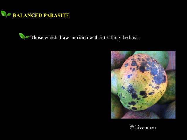 Parasitism and its types | PPTX | Biological Sciences | Science