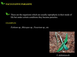 Parasitism and its types | PPTX