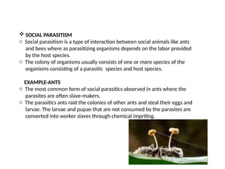 PARASITISM AND PREDATION ENVIRONMENTAL MICROBIOLOGY | PPTX