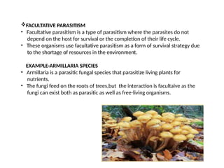 PARASITISM AND PREDATION ENVIRONMENTAL MICROBIOLOGY | PPTX