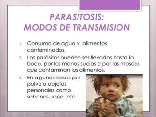 Parasitosis | PPT