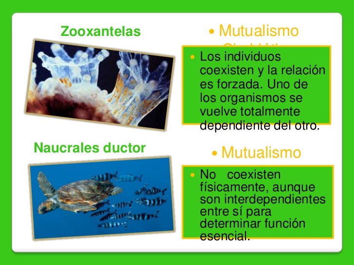 Parasitismo y mutualismo