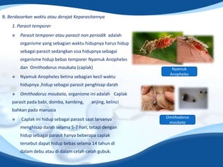 Parasit kelompok 4 kelas A | PPTX