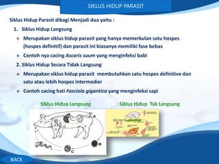 Parasit kelompok 4 kelas A | PPTX