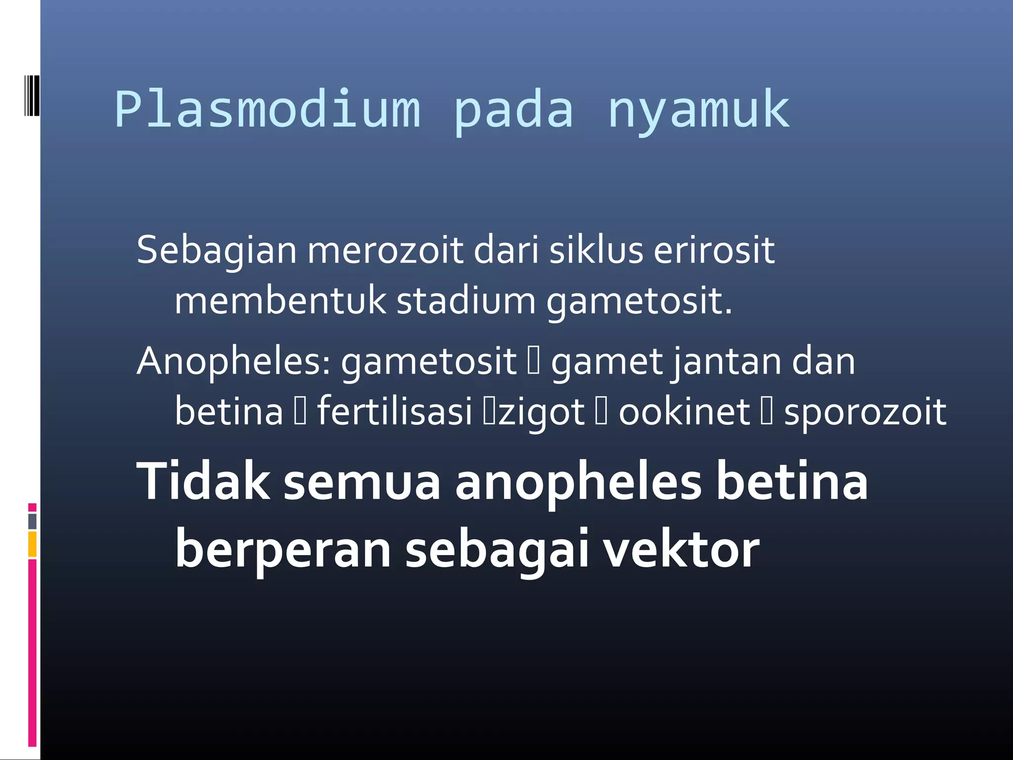 Parasit malaria fk | PPT