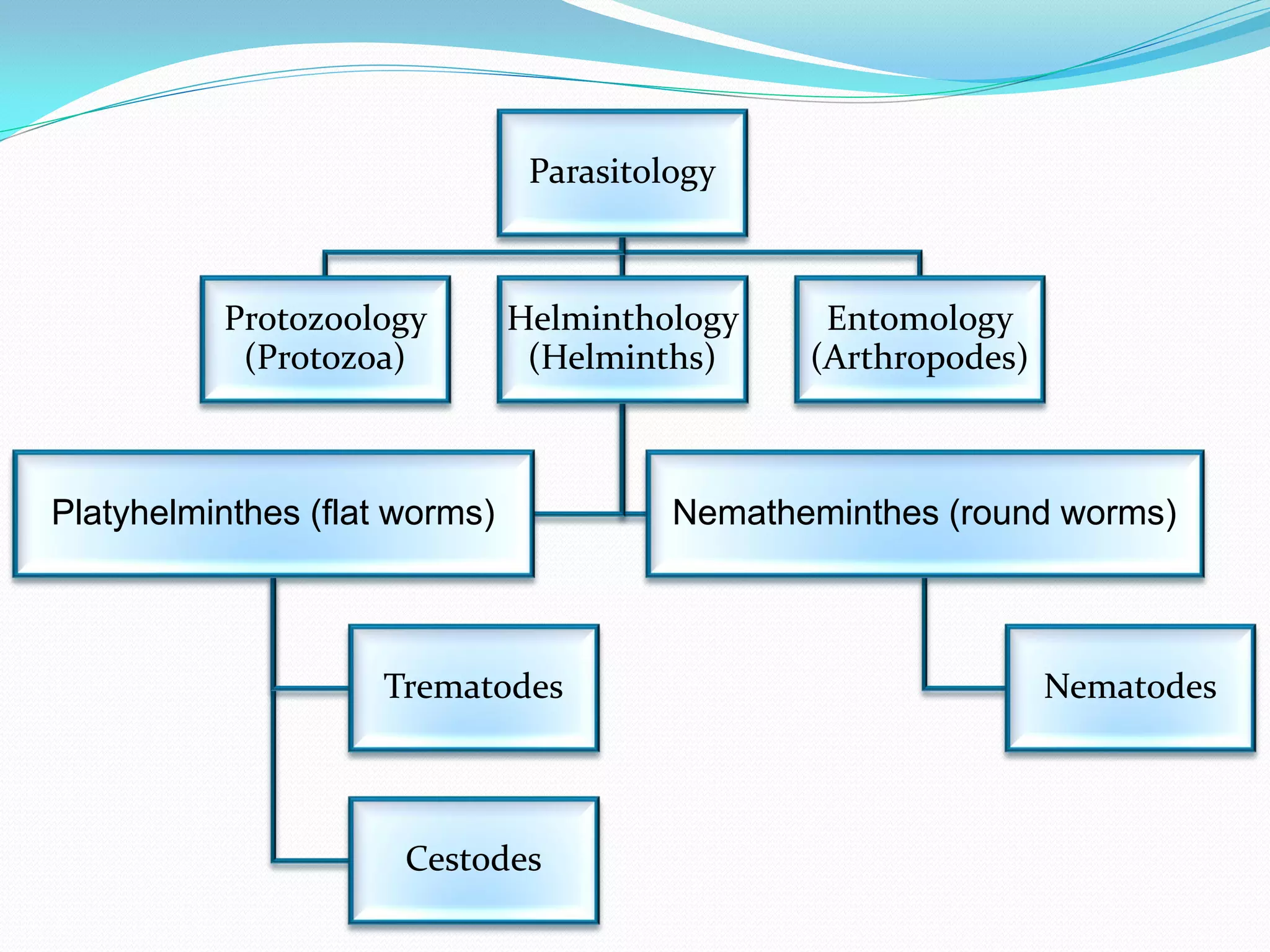 Parasitology lab diagnostic | PDF
