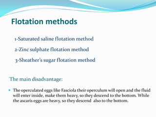Parasitology lab diagnostic | PDF