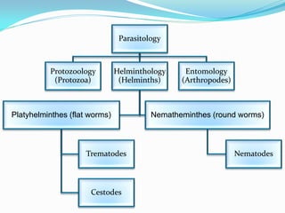 Parasitology lab diagnostic | PDF