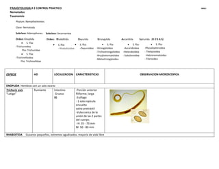 Guia practica para la identificacion de los nematodos con mayor ...