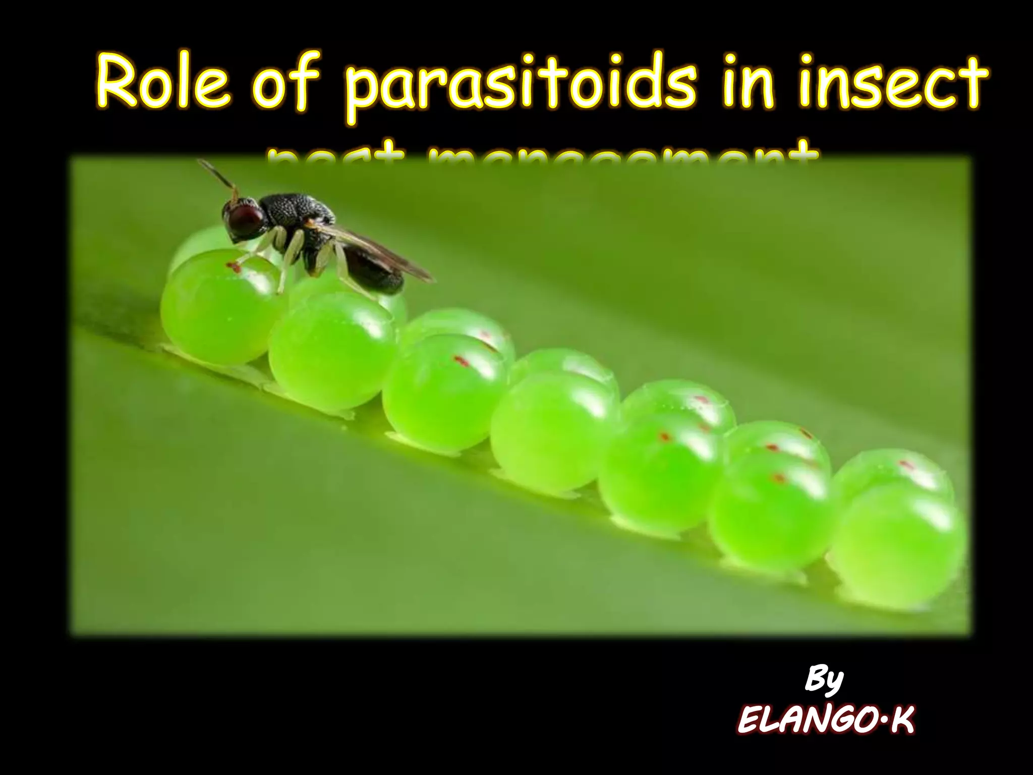 Parasitoids | PPTX