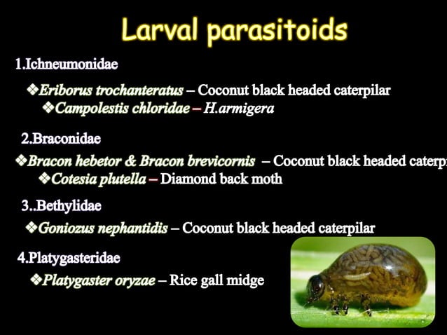 Parasitoids | PPTX